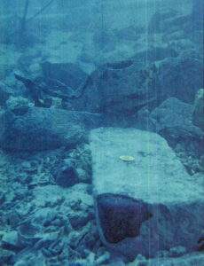 The Search for the Atocha – The $500 Million Shipwreck - Primal Nebula